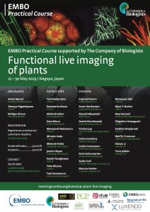 EMBO course on Live Plant Imaging in Nagoya (Japan) - Plant Morphodynamics