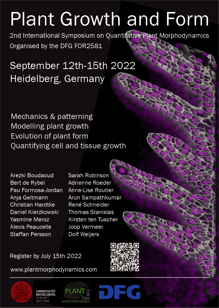 Flyer - Plant Morphodynamics